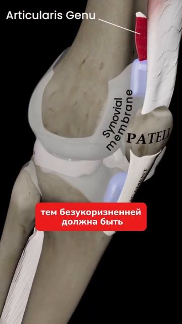 Болят колени на спуске