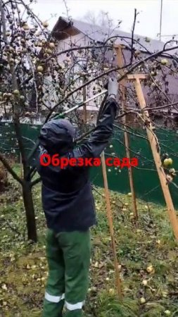 обрезка сада