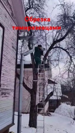 обрезка тимирязевцами