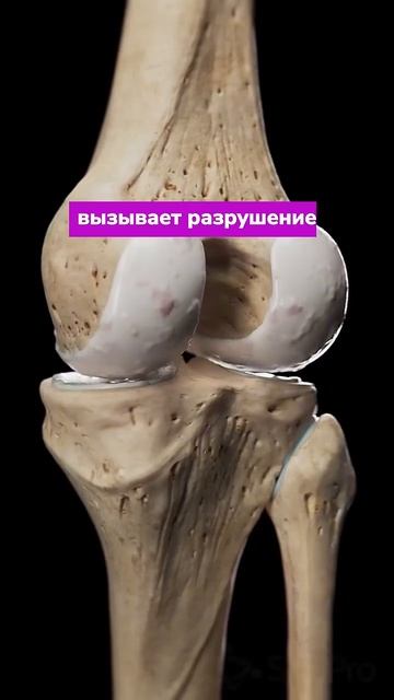 Уколы в колени - это не лечение!