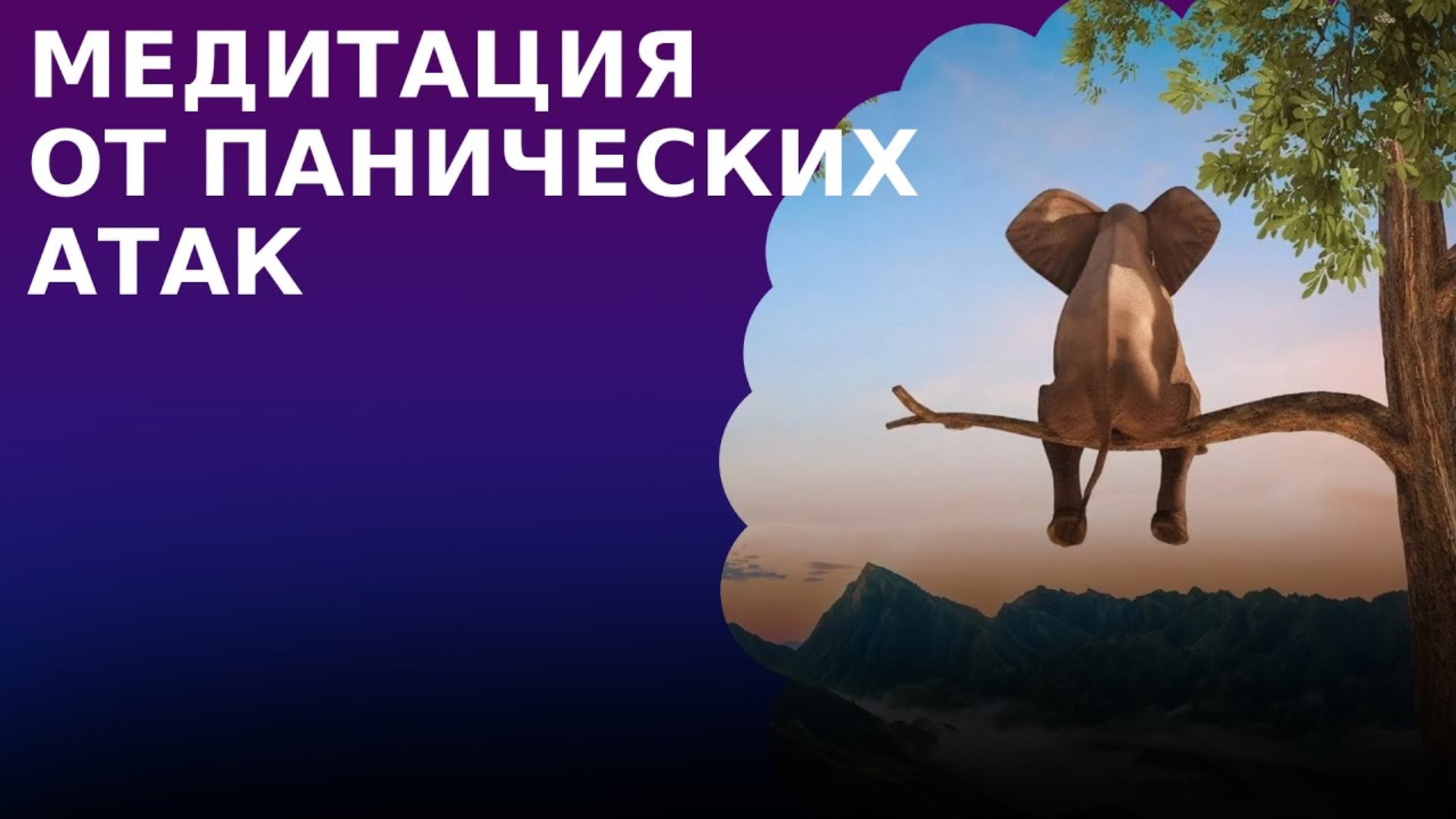 Медитация | Освобождение от панических атак | Александр Габрух