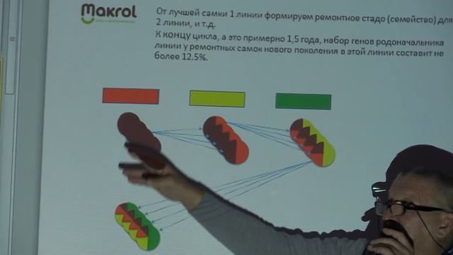 Семинар по кролиководству. Поддержание рабочего породного стада. Работа с линиями и семействами.