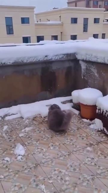не удалось