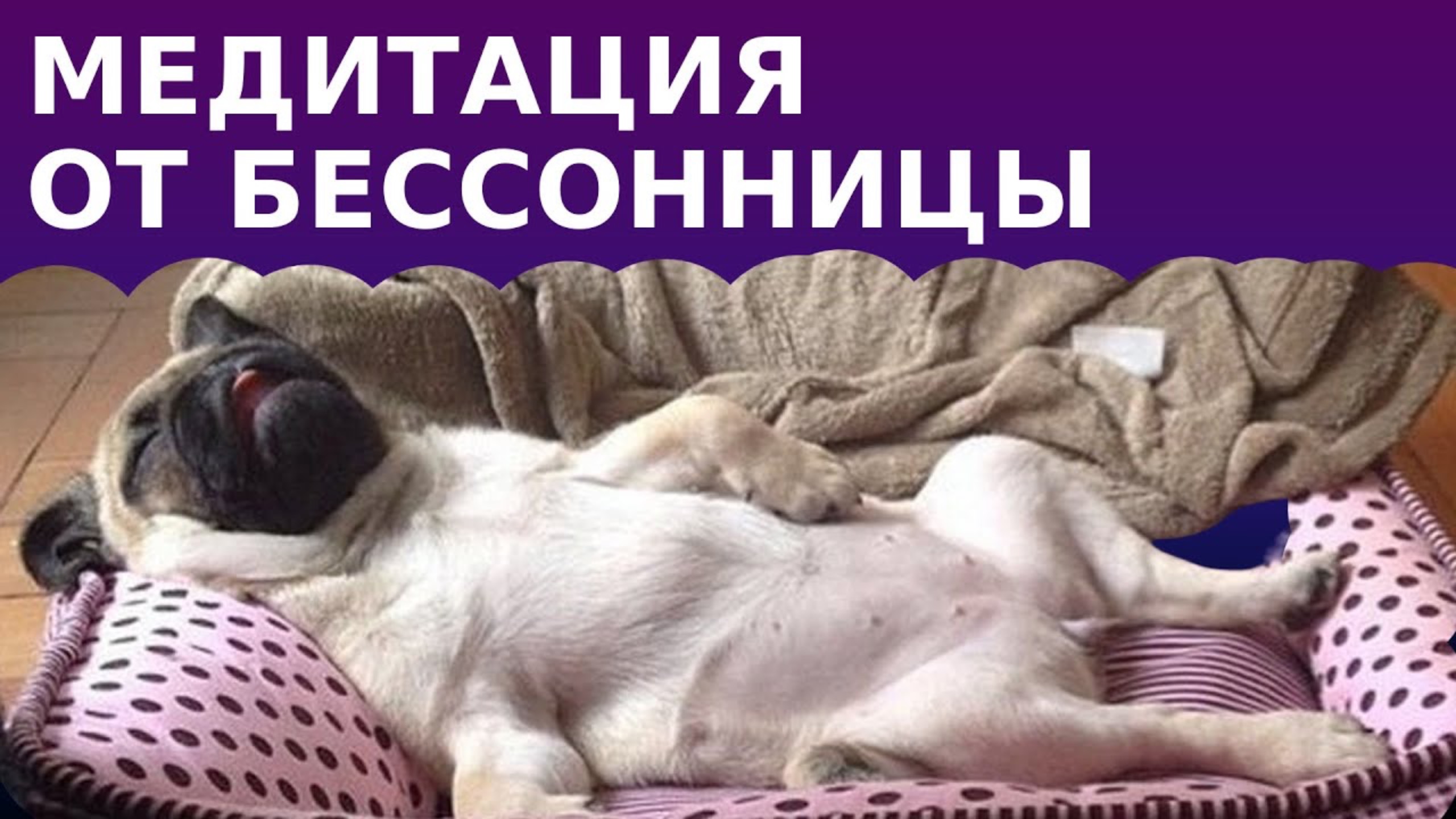 Медитация | Избавление от бессонницы | Александр Габрух