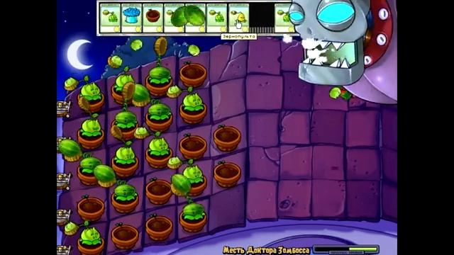 КурЯщий из окна - 20 000 подписчиков =-)