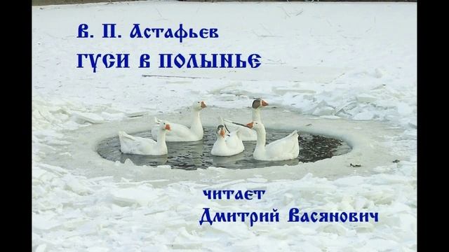 В. П. Астафьев. Гуси в полынье (из повести "Последний поклон"). Читает Дмитрий Васянович