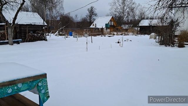 Поездка на дачу