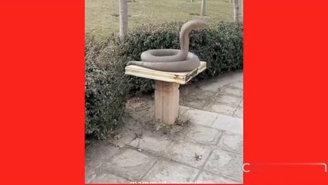 Ты- моя добыча !