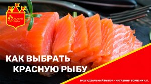 Эксперт рассказала о видах красной рыбы