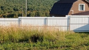Забор из профлиста не кондиции в Красноярске