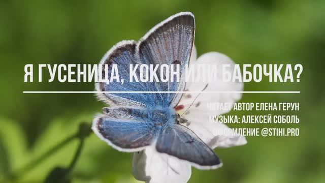 "Я гусеница, кокон или бабочка?", стихи Елены Герун
