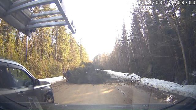 Последствия урагана в Ярославской области.