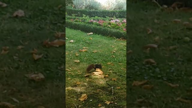 Красота вокруг нас