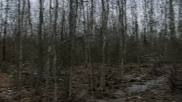 Охота с Добычем.15-й