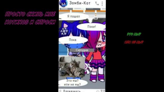 Gacha клип "Скинь котиков" / мини-каллаб