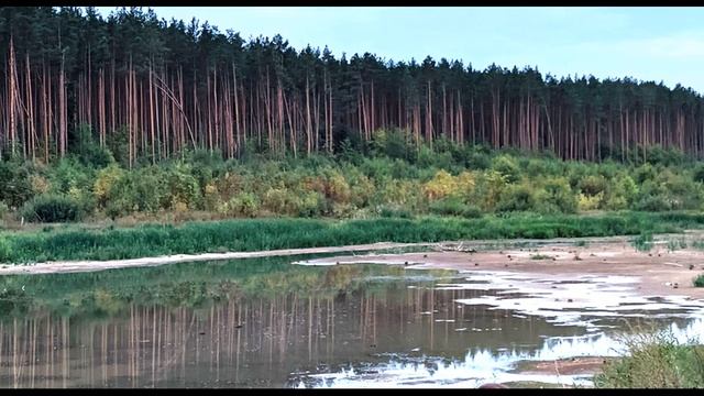 Н Панченко  Стены #философскаялирика #поэзия20века