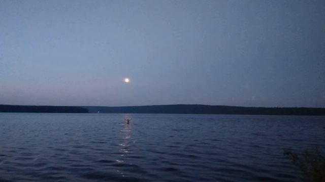 Ф Тютчев  Ещё томлюсь тоской желаний #стихиолюбви #поэты19века