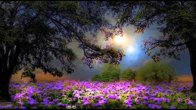 А  Фет  Сияла ночь. Луной был полон сад #стихиолюбви #поэты19века