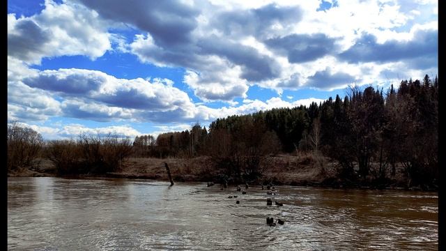 О  Мандельштам  О, как мы любим лицемерить #философскаялирика #поэтысеребряноговека