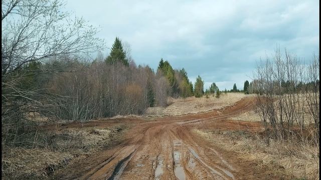 Э Асадов  Ты часто вздыхаешь #философскаялирика #поэты20века #стихиовыборе