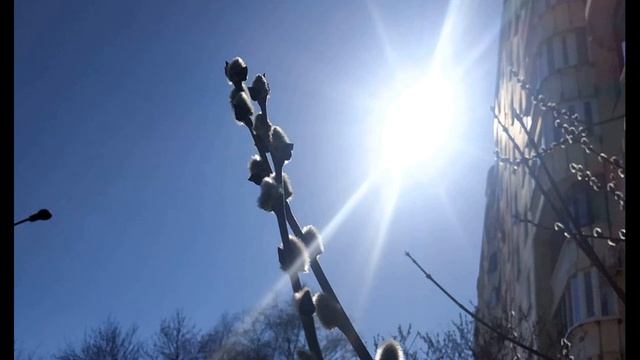 Б Слуцкий  Памятник #стихиовойне#поэзия20века #поэтысоветскогоандеграунда