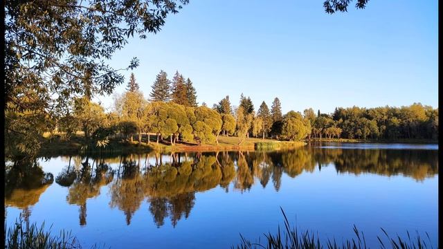 А Дементьев  Не смейте забывать учителей  #стихиобучителе #поэты20века