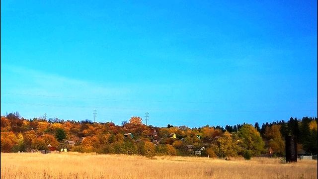 Ф  Тютчев  Есть в осени первоначальной #поэты19века  #стихиобосени