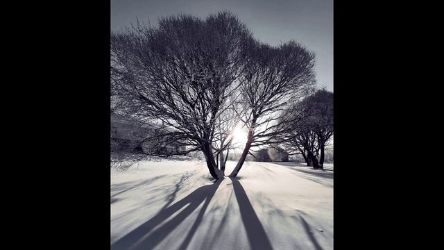 Е  Евтушенко Всегда найдётся женская рука #стихиоженщине #поэты20века