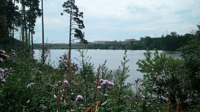 Н Языков  Слава богу #стихиолюбви #поэты19века