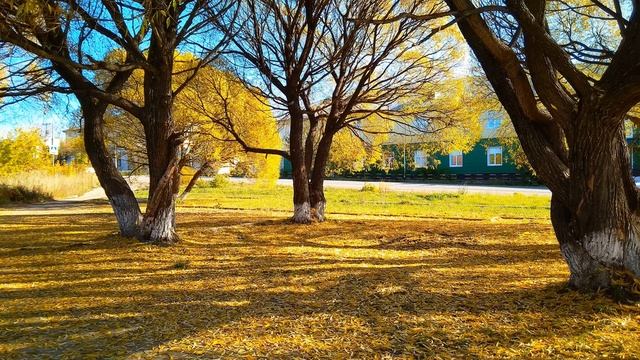 И Бунин  Вечер #стихиосчастье #поэтыСеребряноговека