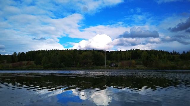 Н Некрасов  Я не люблю иронии твоей #стихиолюбви #поэты19века