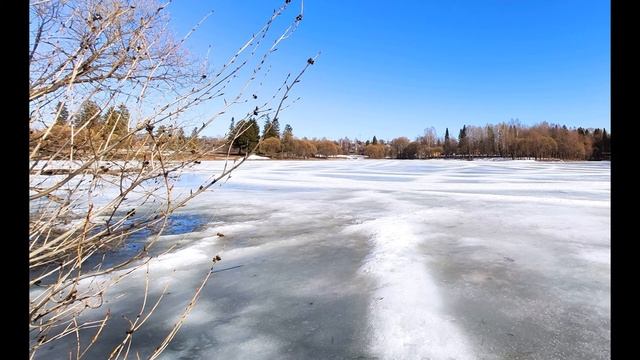 Б Слуцкий   Баллада о догматике #стихиовойне#поэзия20века #поэтысоветскогоандеграунда