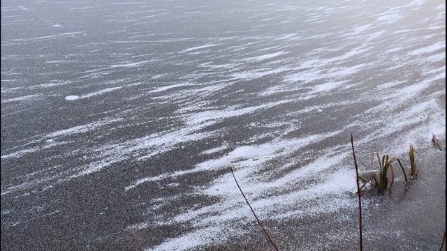 А Твардовский  Из записной потёртой книжки #стихиовойне#поэты20века