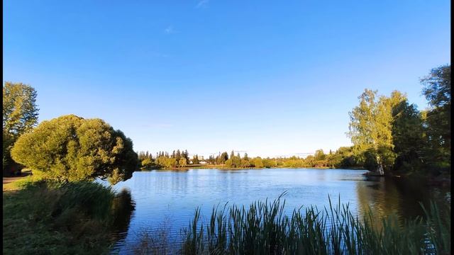 Б Пастернак  Я люблю, как дышу #стихиолюбви  #поэтыСеребряноговека