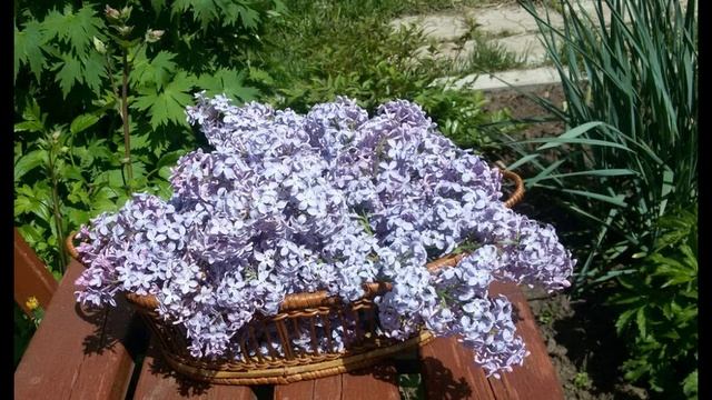 Э Асадов  Начало #философскаялирика #поэзия20века