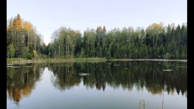 В  Брюсов  Благовещение  #духовнаялирика #поэтысеребряноговека