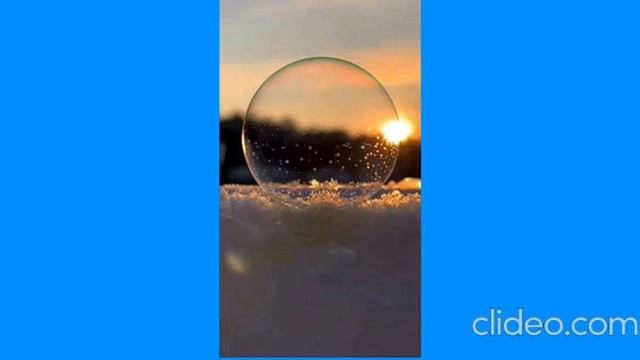 СВЕЧА жизни ! ДРЕВО познания! Из цветка выростает ДРЕВО, да не простое , а .....