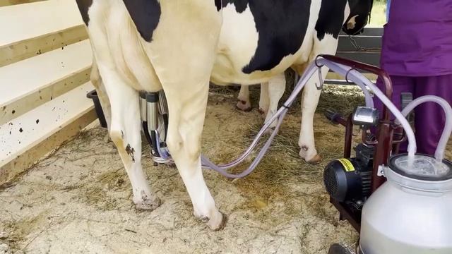 ПЗС УралХимСорб на Прикамском Агрофесте — 2024 / Uralkhimsorb at the Prikamsky Agrofest — 2024