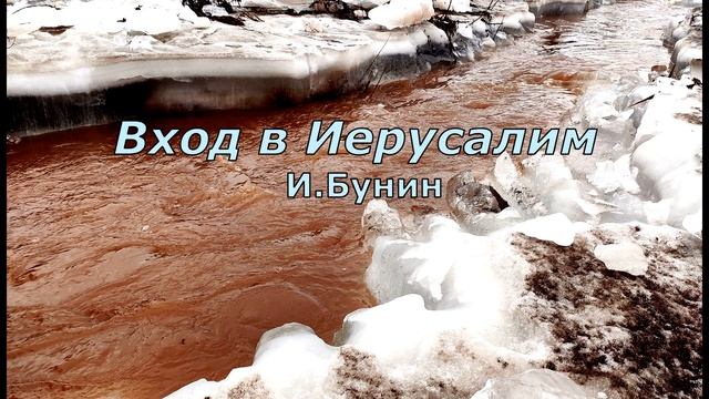 И  Бунин  Вход в Иерусалим #стихиовербномвоскресенье #поэтысеребряноговека