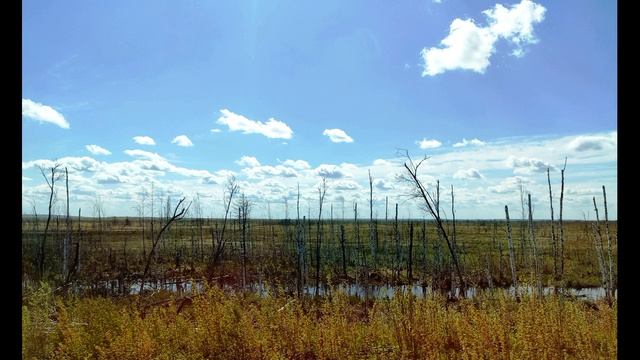 Е  Евтушенко  Старый друг #стихиодружбе #поэты20века