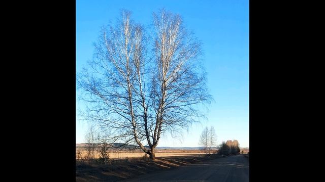 А  Ахматова  И мне показалось, что это огни #стихиолюбви #поэтысеребряноговека