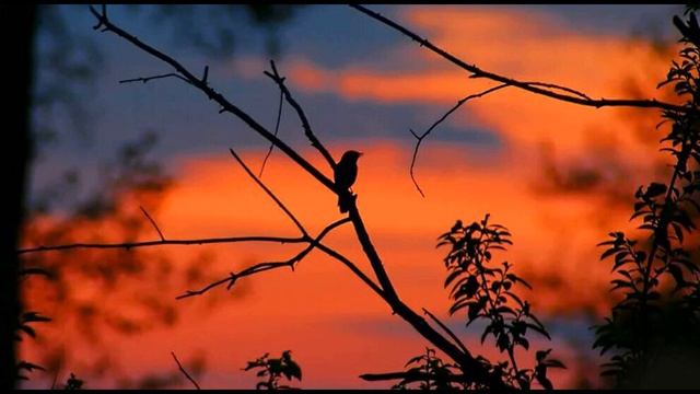 А  Пушкин  Певец #стихиолюбви #поэты19века