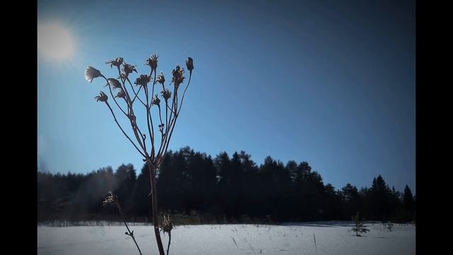 А Пушкин  Если жизнь тебя обманет #философскаялирика #поэты19века