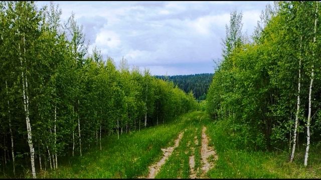 Притча о блудном сыне  Евангелие  #Евангелие #притчи