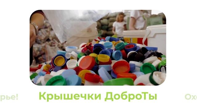 Каталог экопрактик
