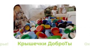 Каталог экопрактик