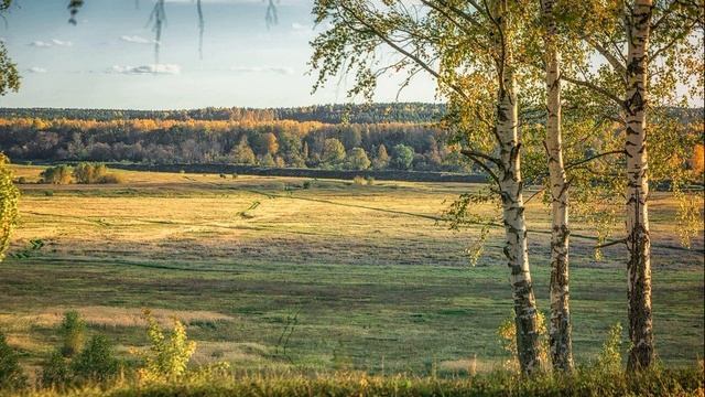 С  Есенин  Не бродить, не мять в кустах багряных #стихиолюбви #поэтысеребряноговека