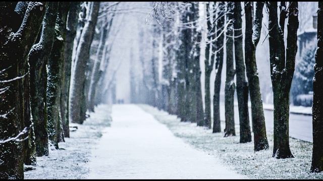 А  Фет  Какая грусть! Конец аллеи #философскаялирика #поэты19века