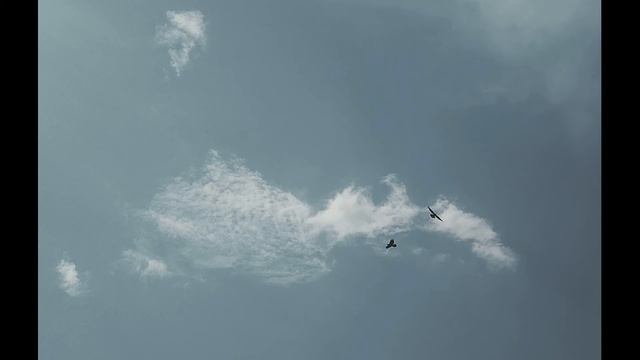 О Мандельштам  Неумолимые слова #философскаялирика #стихиоПасхе #поэтыCеребряноговека