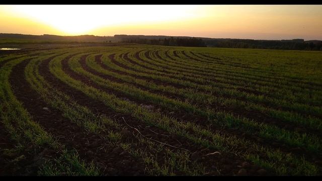 А  Вознесенский  Параболическая баллада #философскаялирика #стихиолюбви #поэты20века